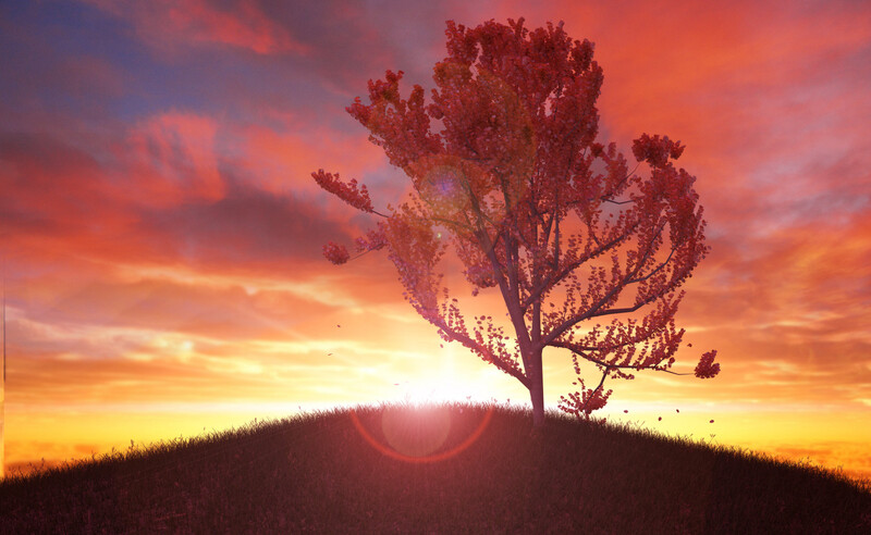 ArtStation - Bryce Kerr Abraham