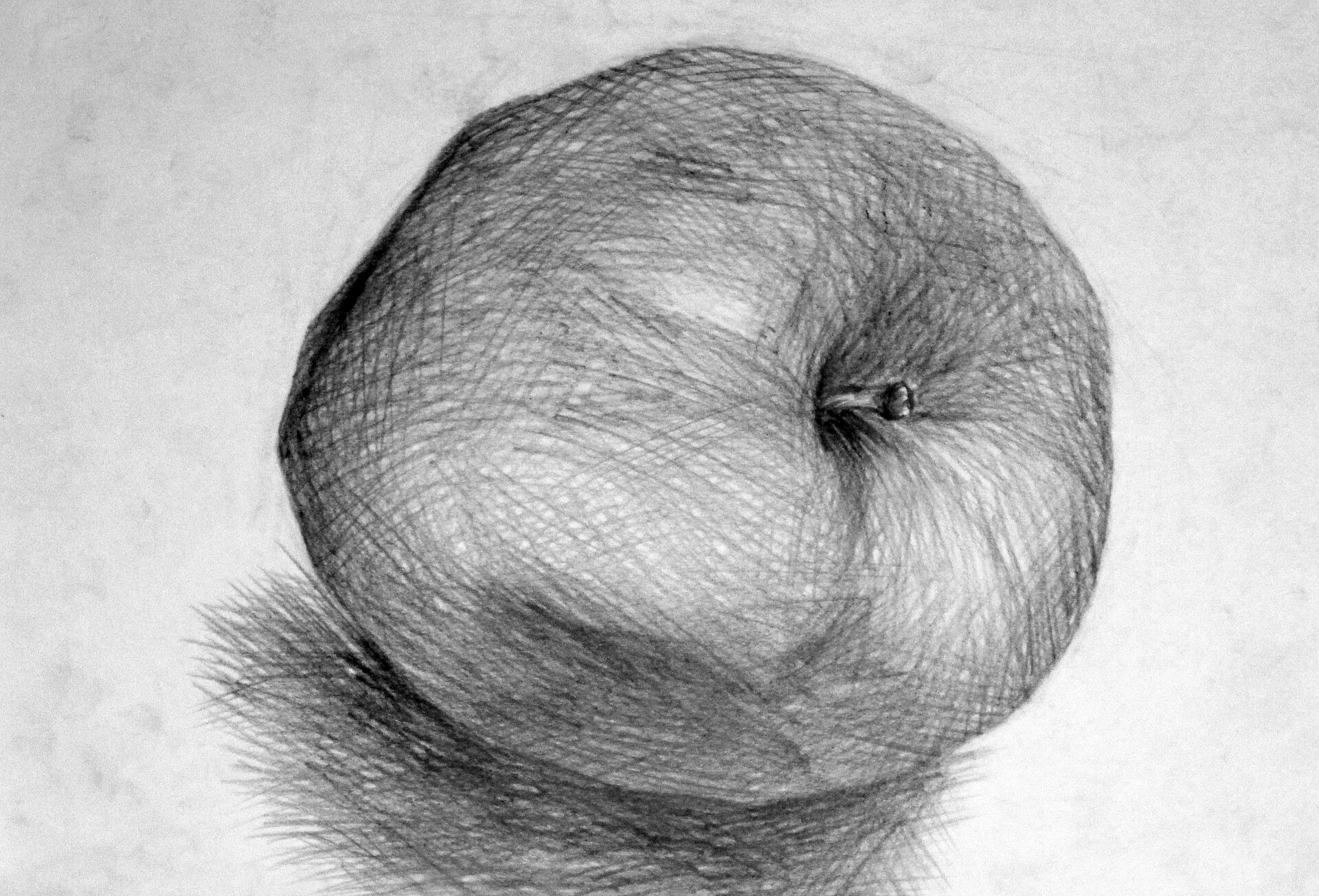 ArtStation - Learning academic drawing