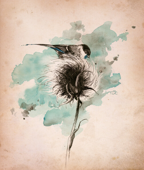 ArtStation - Chickadee