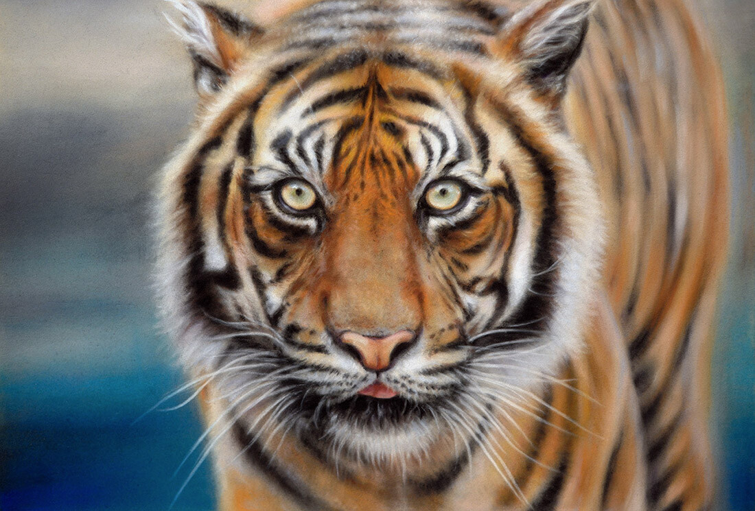 Dirk Freder - Siberian Tiger