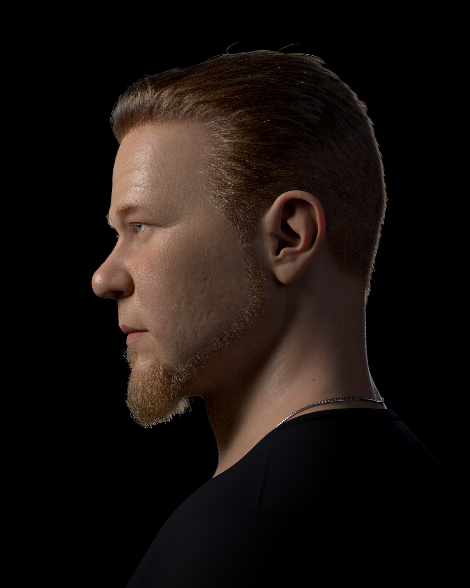 Pablo - James Hetfield (2005)