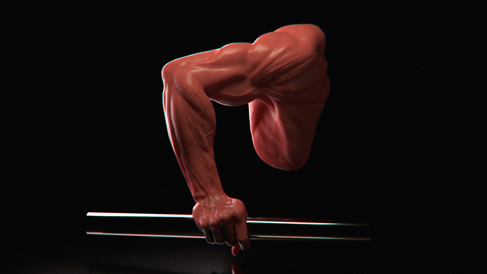 ArtStation - Arm Anatomy Study