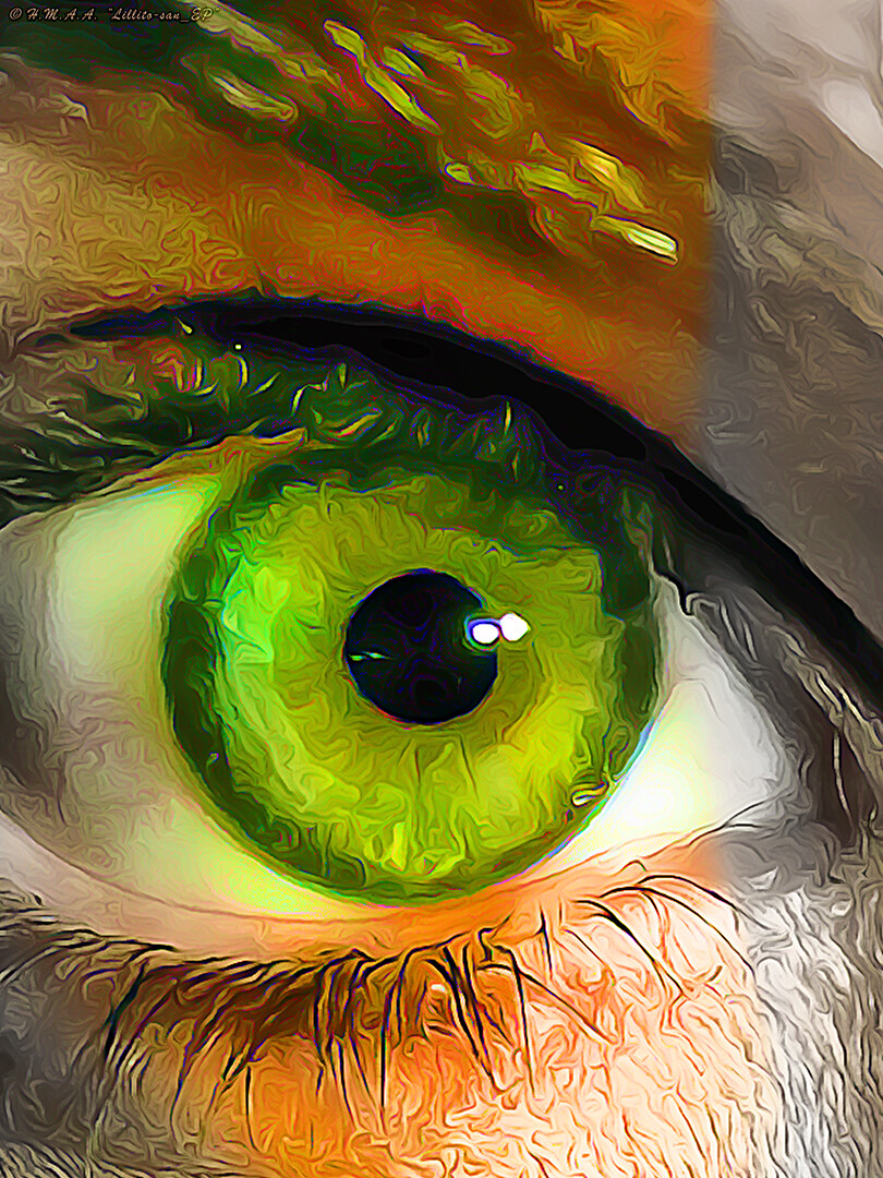 ArtStation - Eye Eve Eye