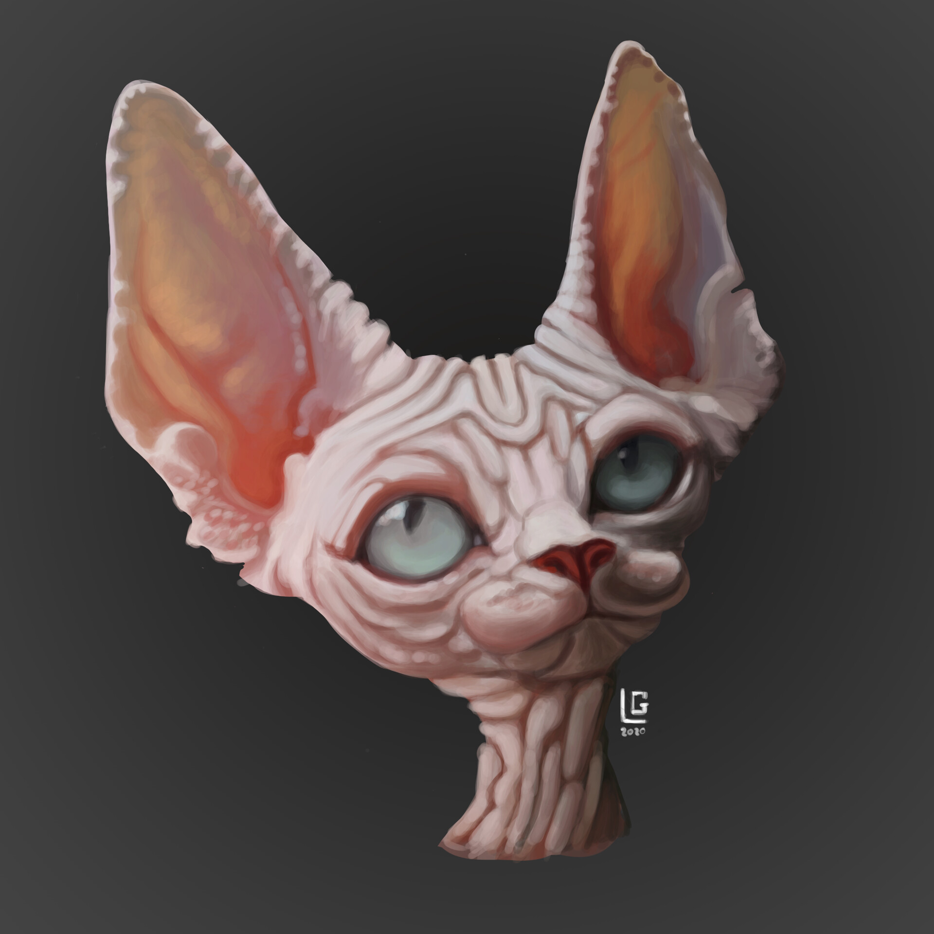 ArtStation - Sphynx Kitty
