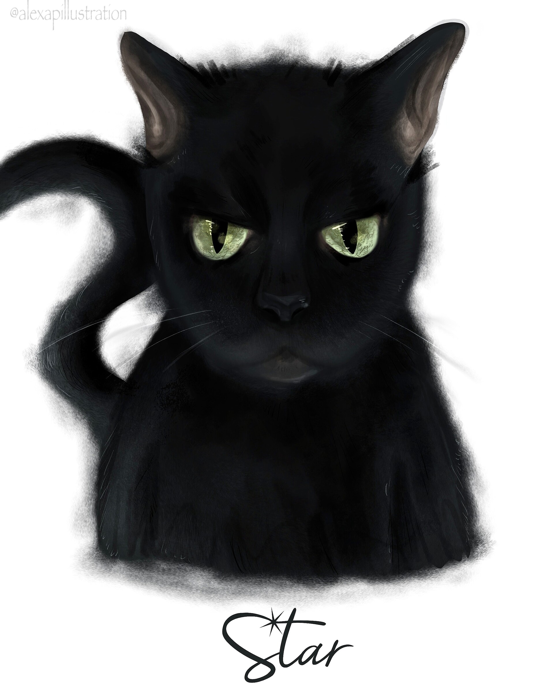 ArtStation - 🐱 Star Portrait 🐱