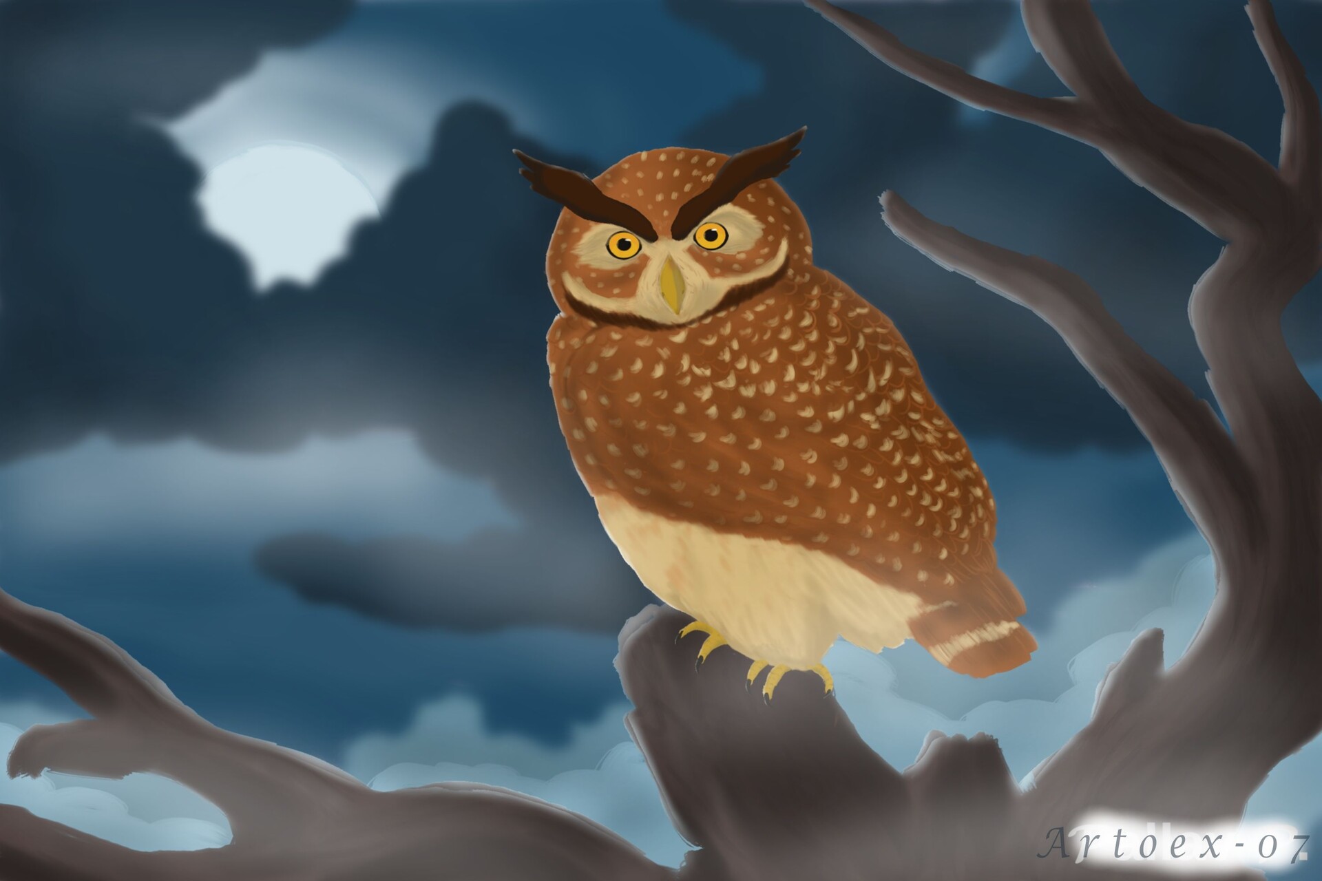 ArtStation - Digital I - Owl