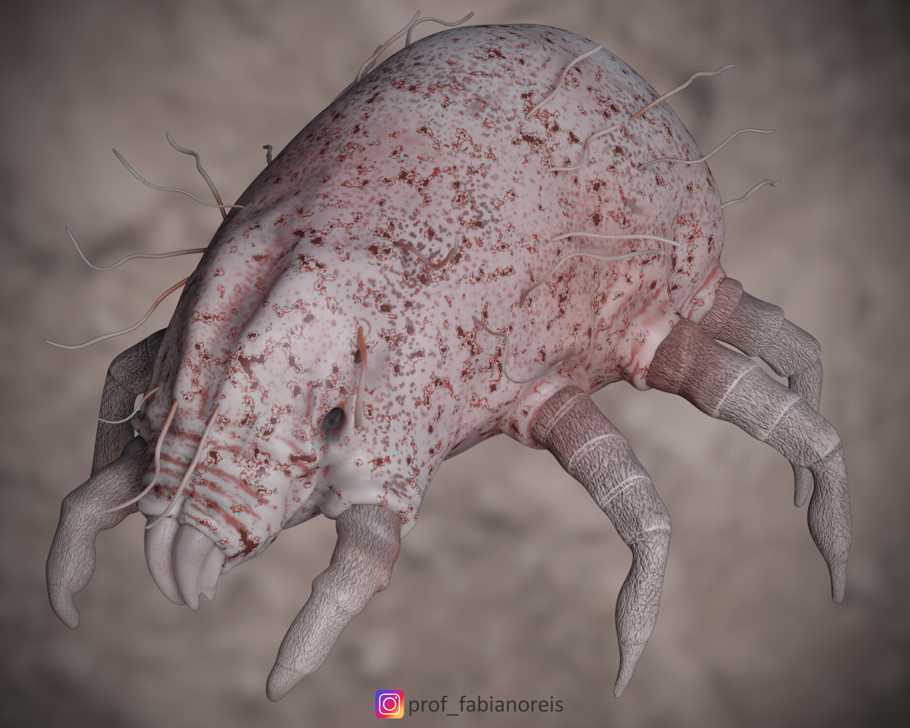 ArtStation - Chimera - Spider, tick and mite
