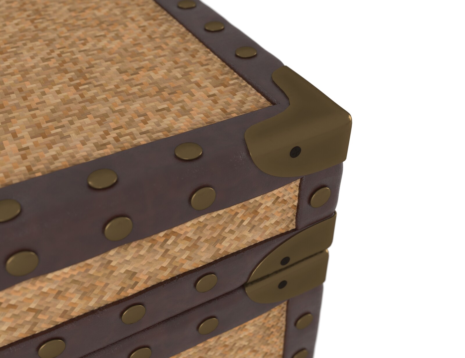 Meghan Geldens - 3D model of Serena Rattan Trunk