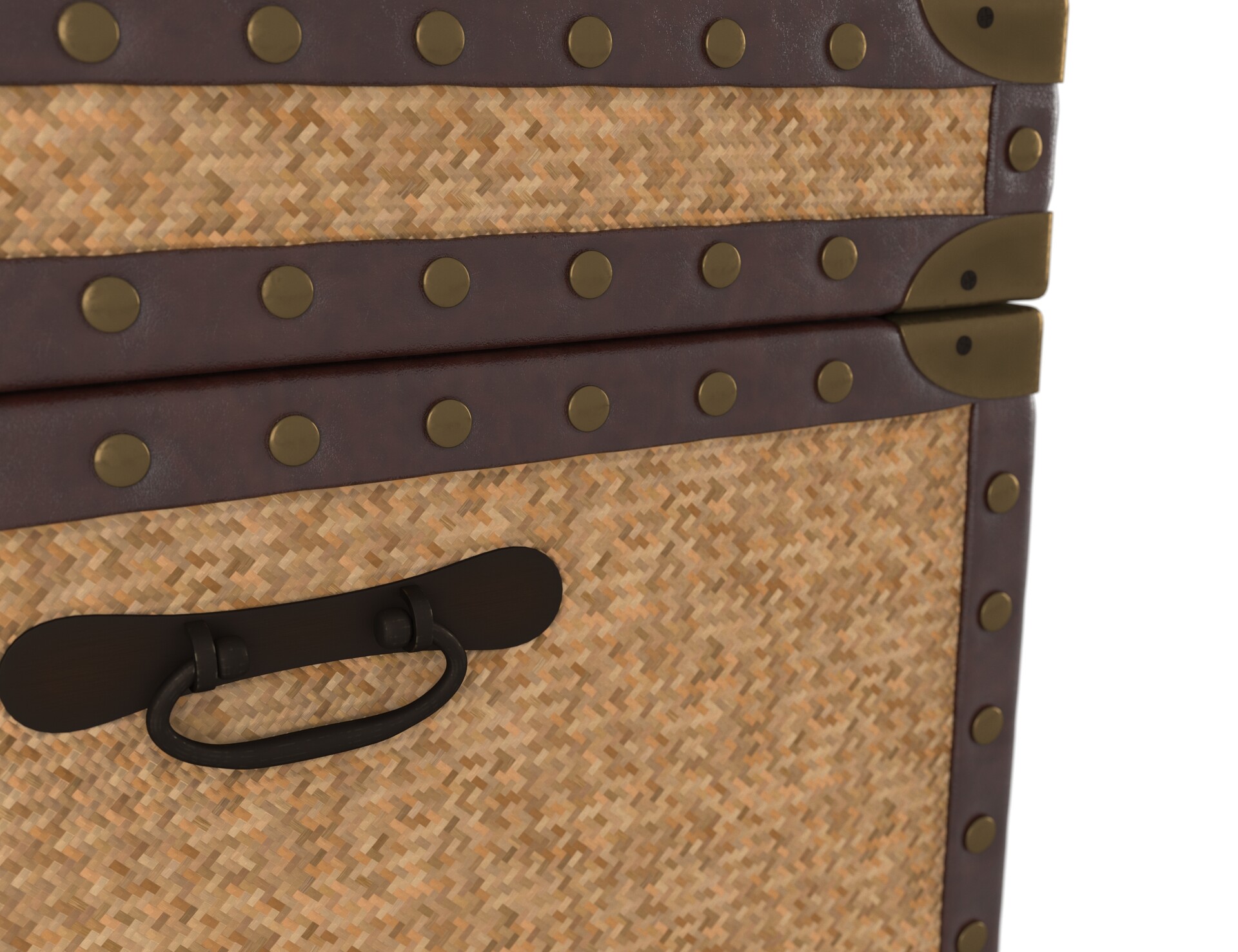 Meghan Geldens - 3D model of Serena Rattan Trunk