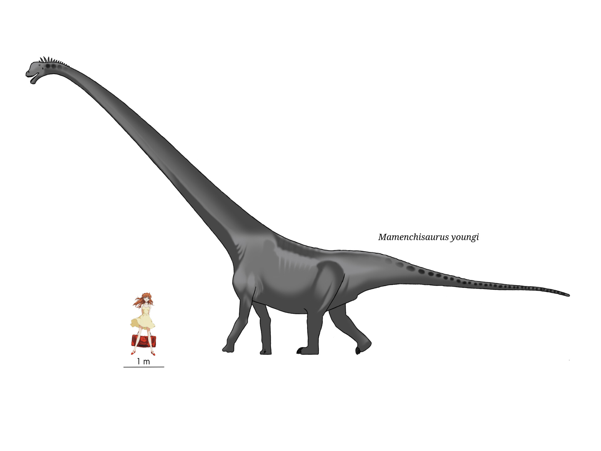 mamenchisaurus youngi