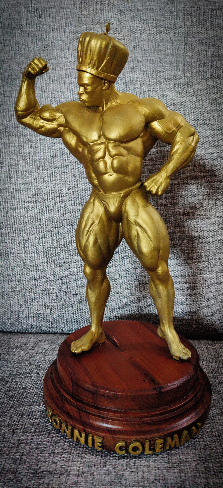 Sachin S - King Ronnie Coleman Statue Project