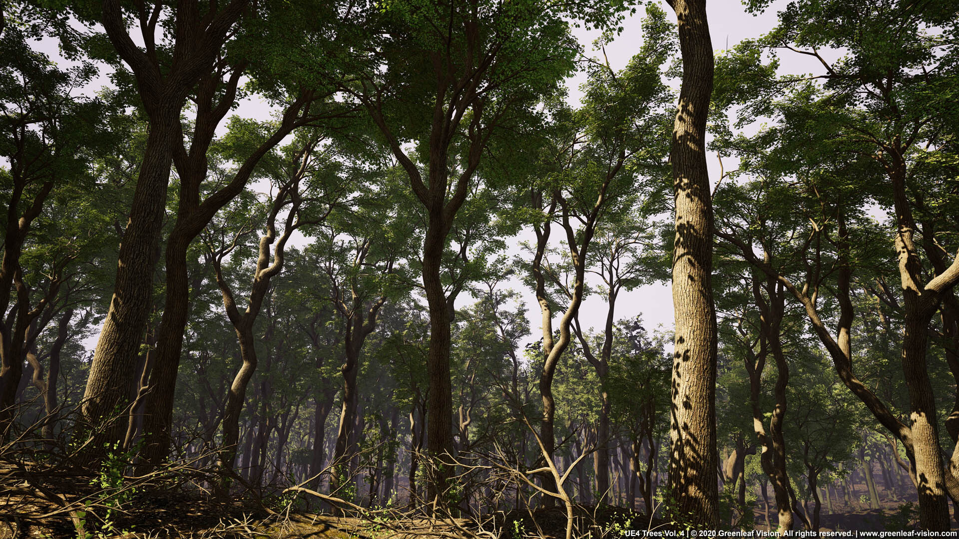 Benjamin Koch - Trees Vol. 4 Pack - Unreal Engine 4