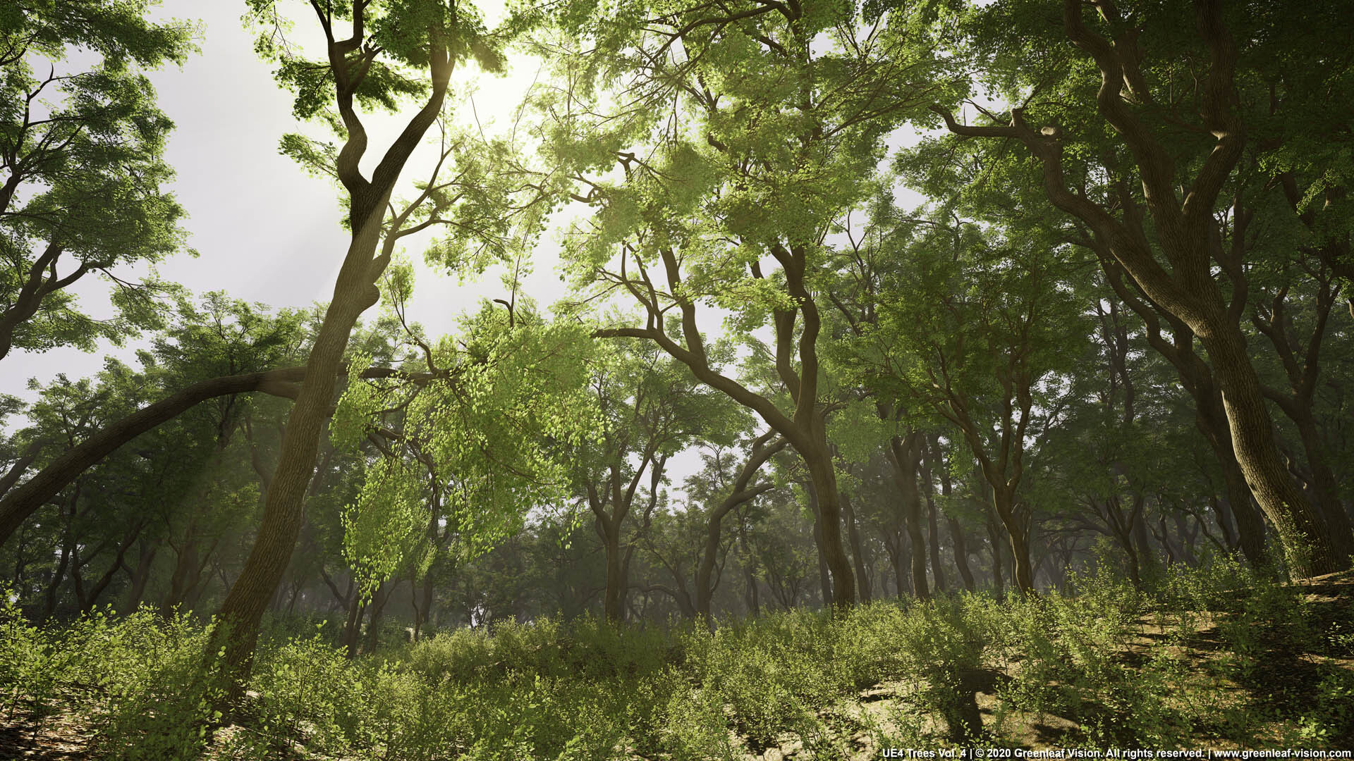 Benjamin Koch - Trees Vol. 4 Pack - Unreal Engine 4