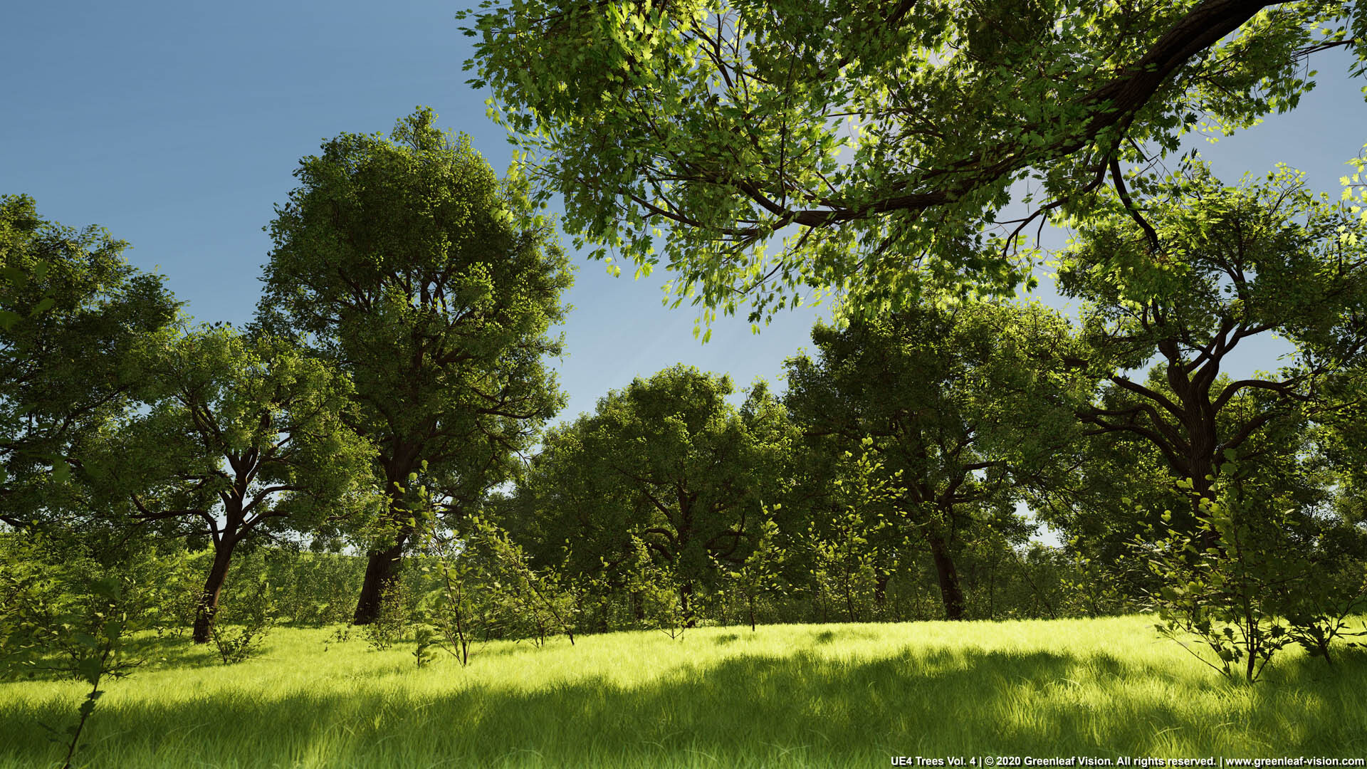 Benjamin Koch - Trees Vol. 4 Pack - Unreal Engine 4