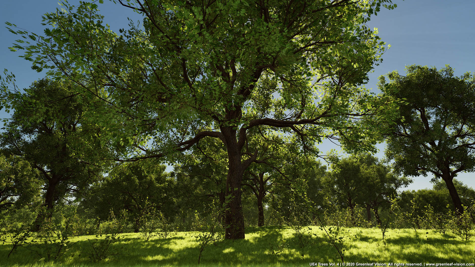 Benjamin Koch - Trees Vol. 4 Pack - Unreal Engine 4