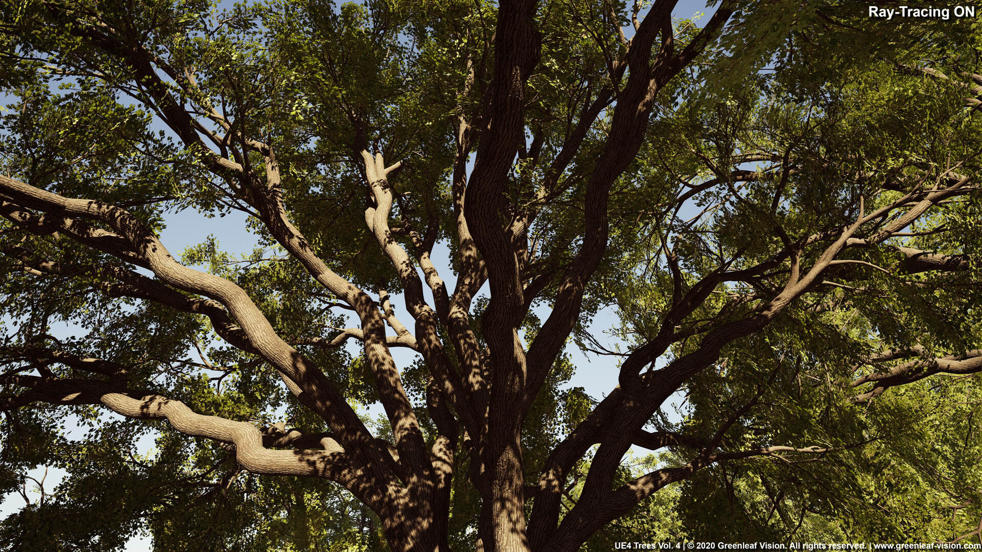 Benjamin Koch - Trees Vol. 4 Pack - Unreal Engine 4