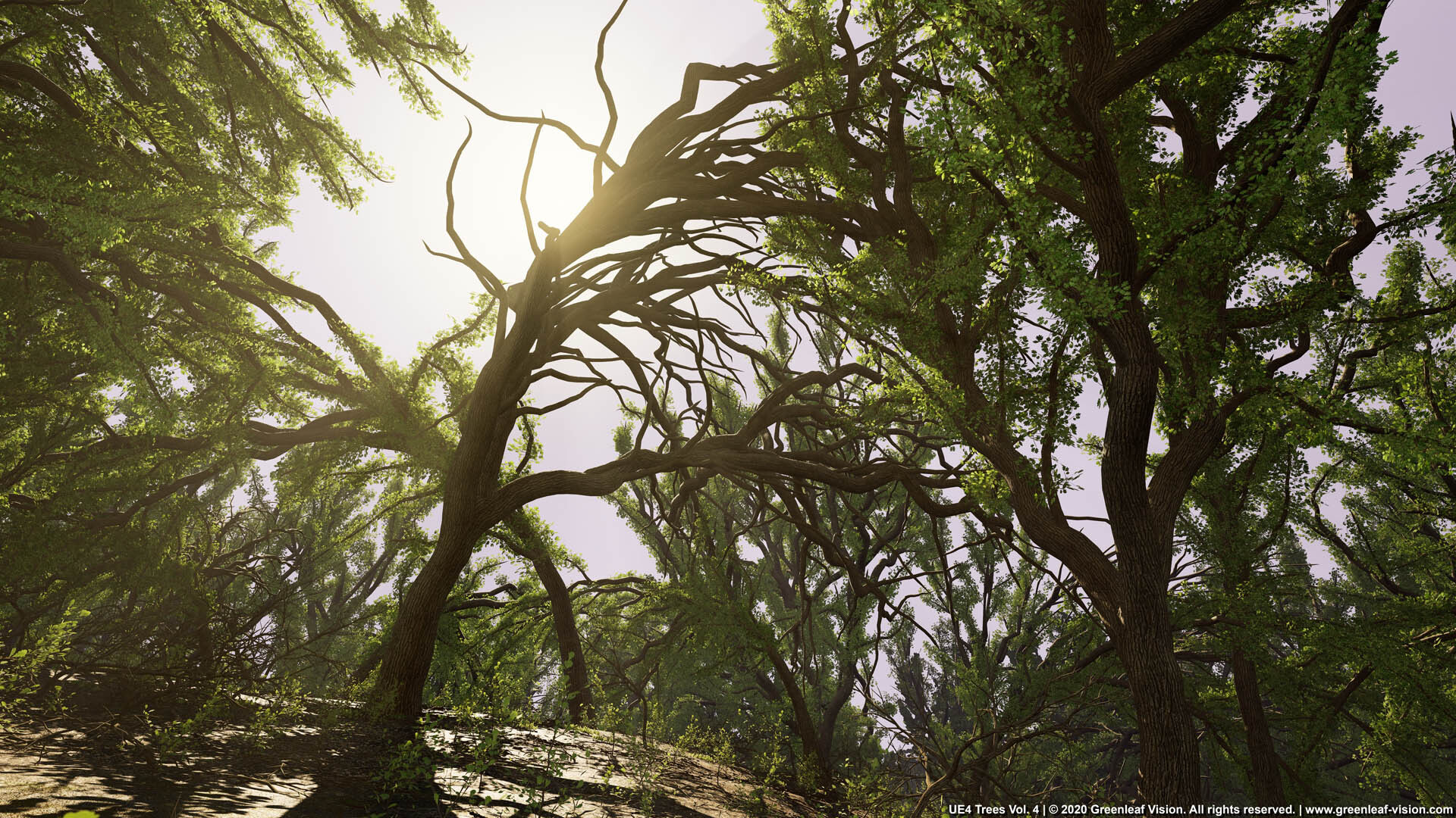 Benjamin Koch - Trees Vol. 4 Pack - Unreal Engine 4