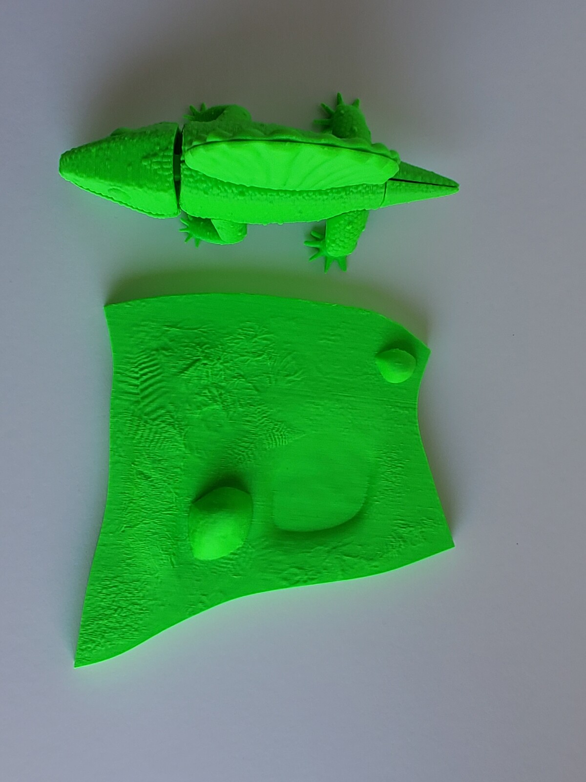 Julie Fisher - Platyhystrix Model