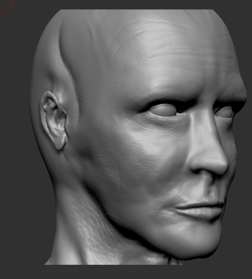 Dominik Tran - PolyHair