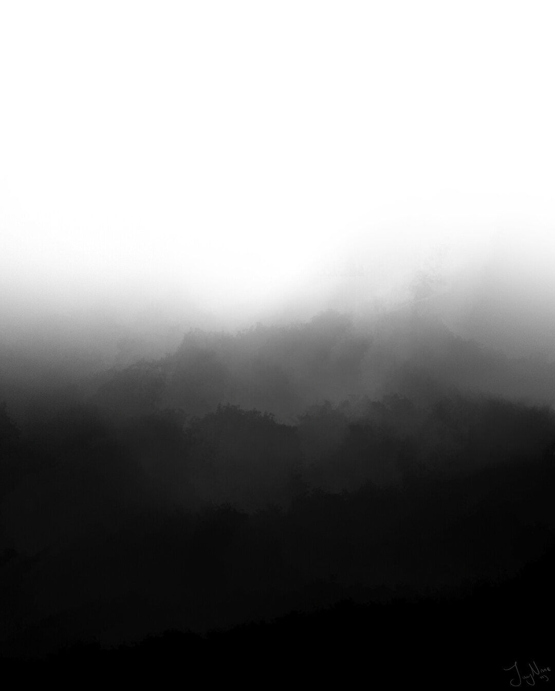 ArtStation - Forest Smog