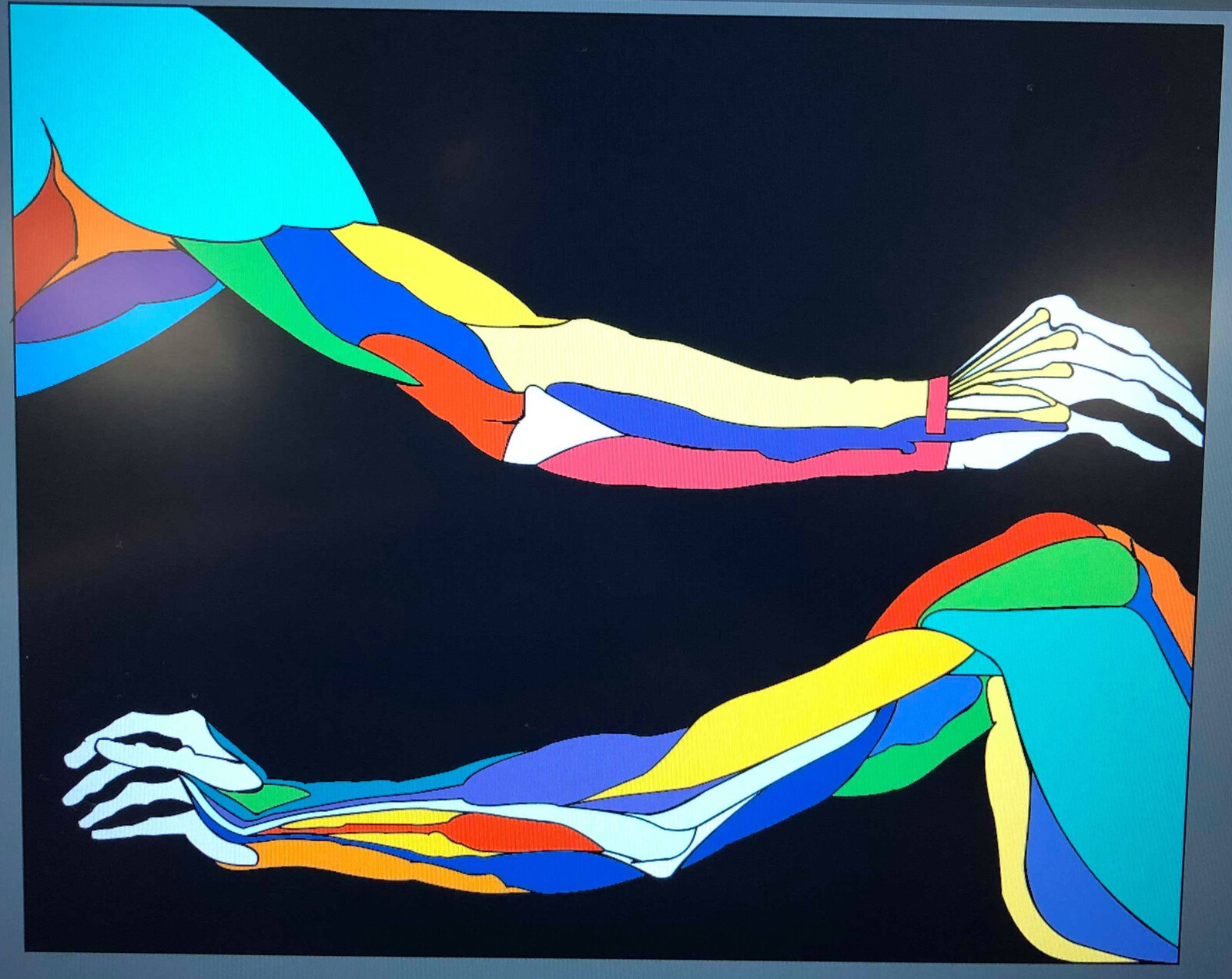 Truong Huynh - Leonardo’s Study Of Arms