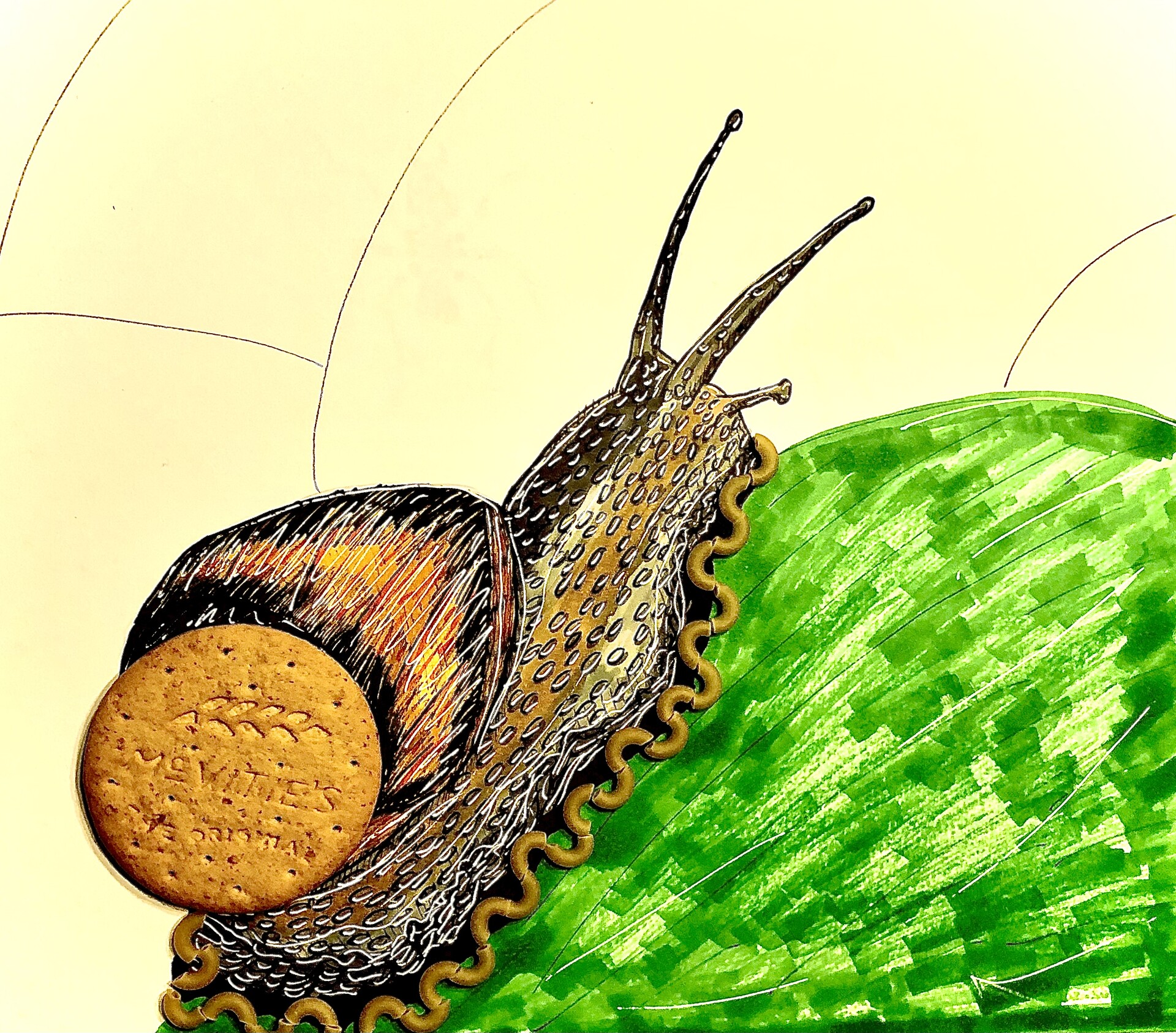 ArtStation - Biscuit Snail