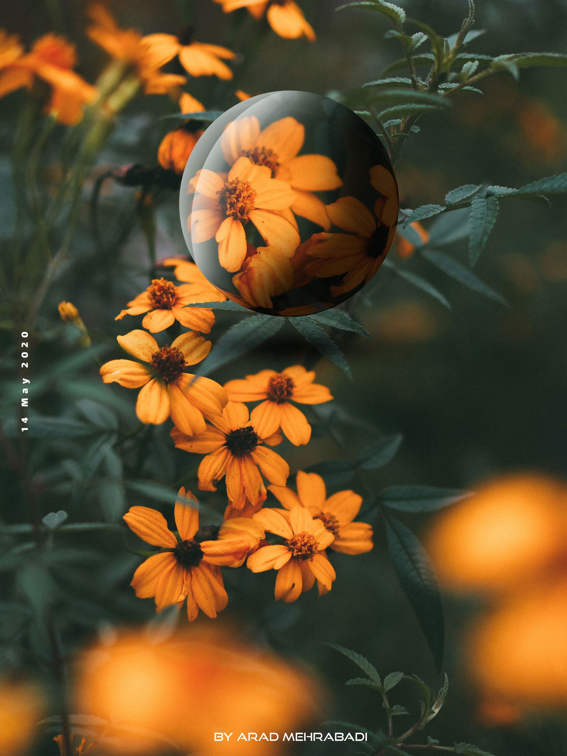 ArtStation - OFlower