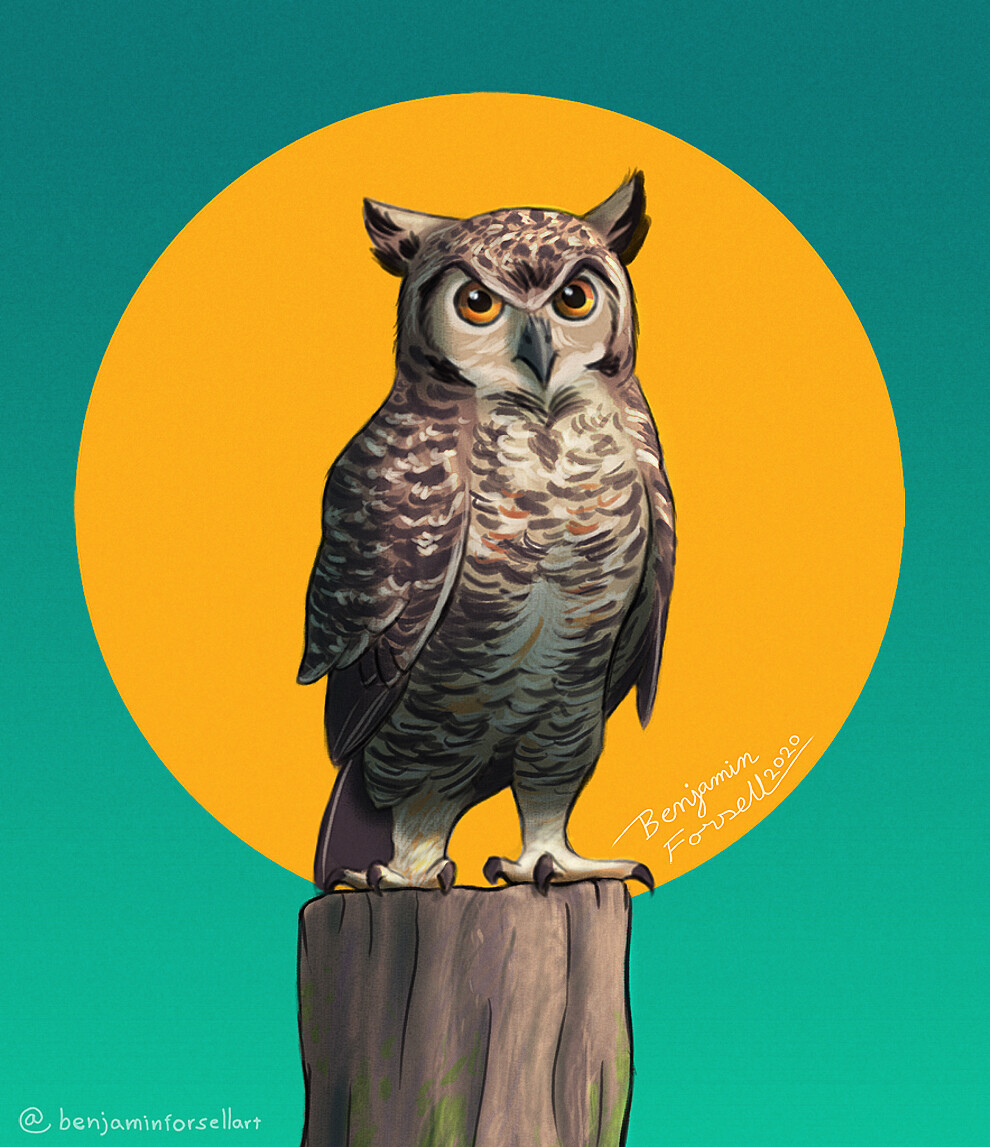 ArtStation - Owl