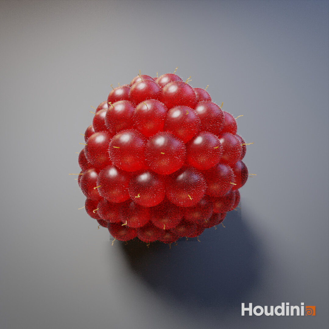 Devanshu Tak - Miscellaneous