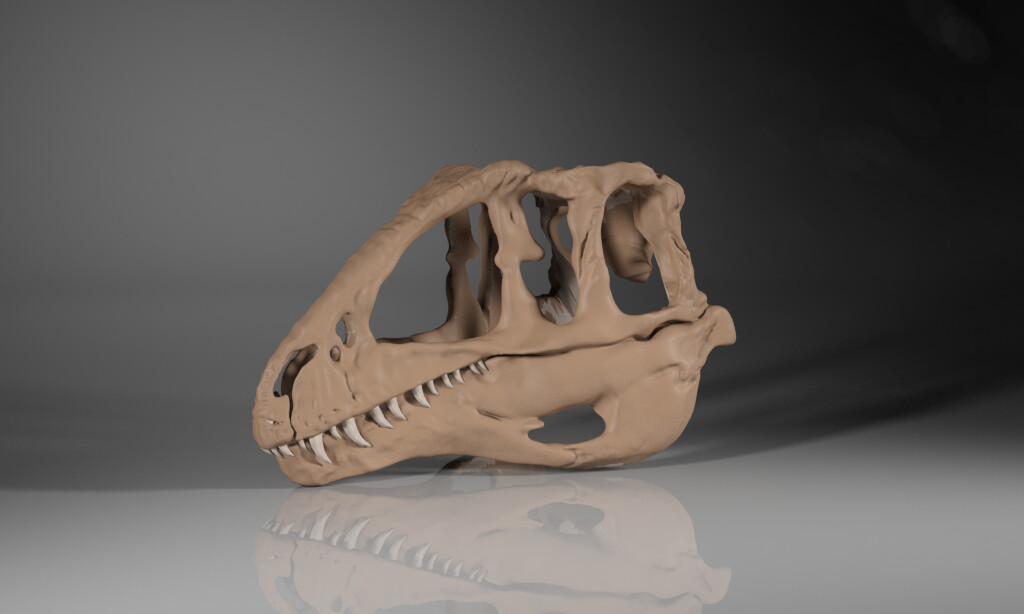 ArtStation - Acrocanthosaurus Skull - First 3Dsculpt