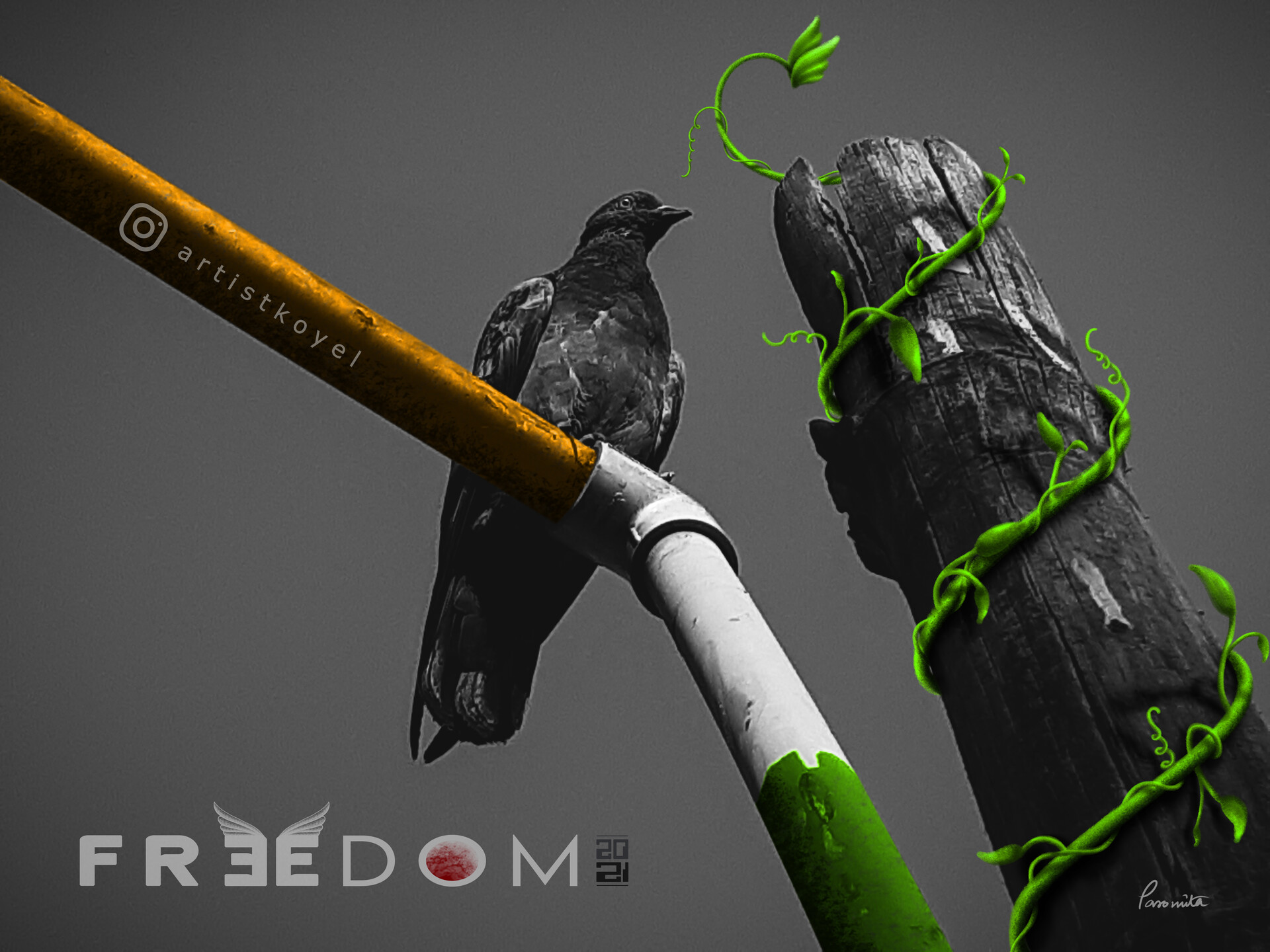 ArtStation - Digital Painting Poster on my Mobile Photography