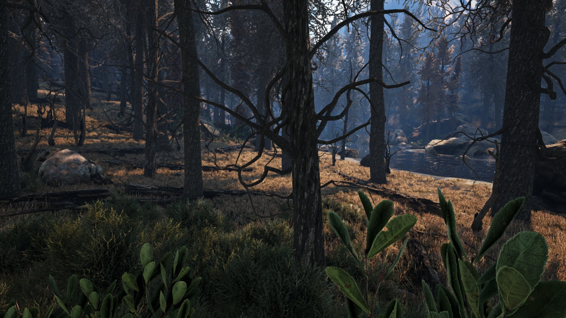 ArtStation - Faith | Reborn Forest