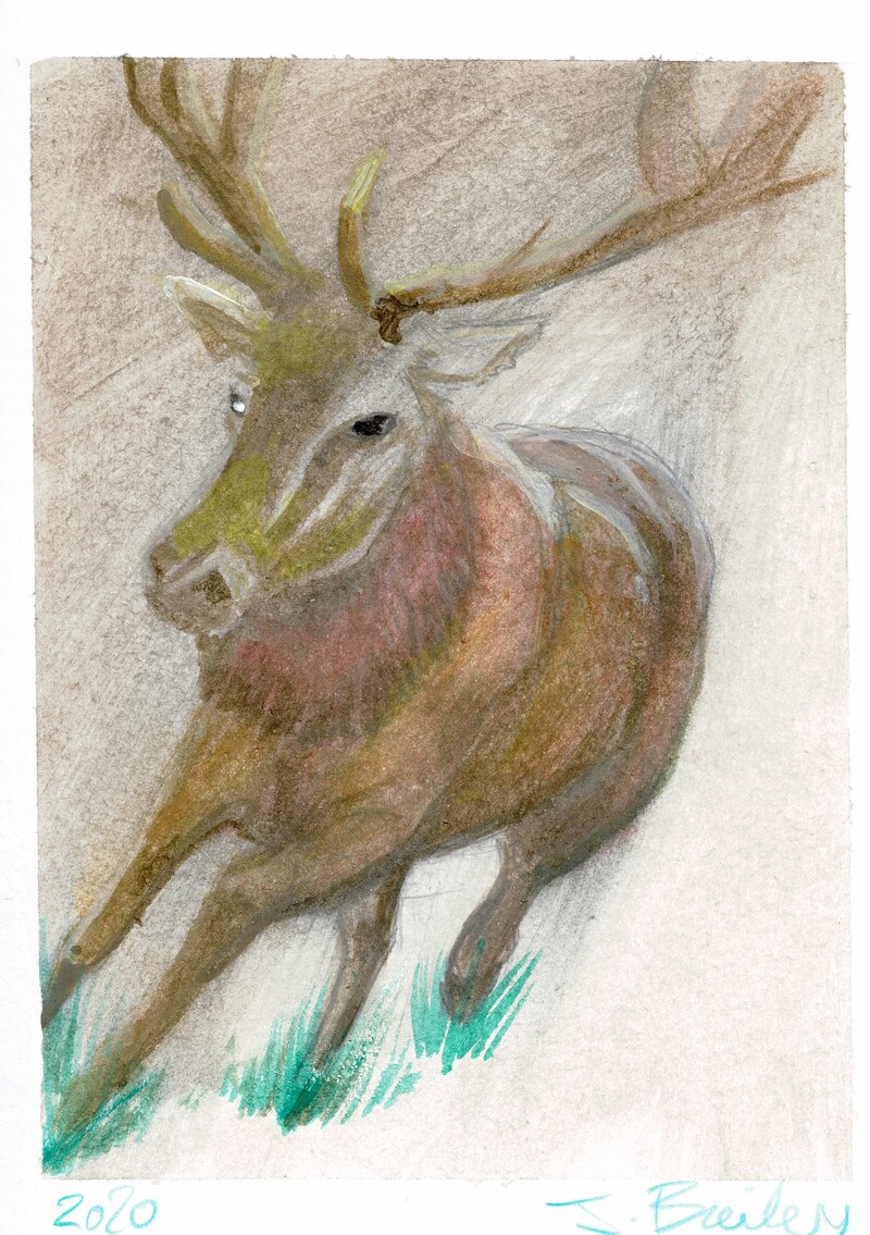 ArtStation - jason Bailey