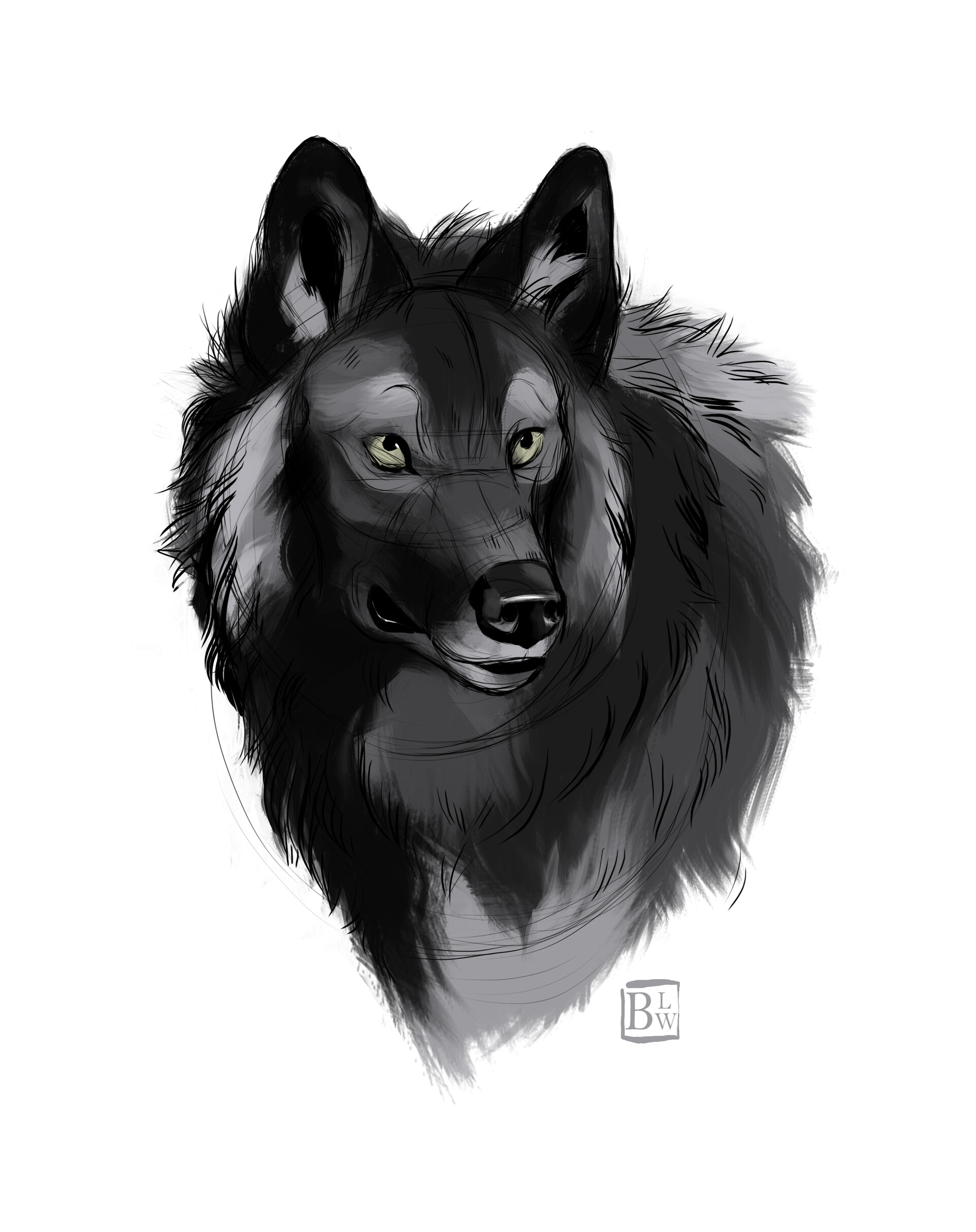 Black And Red Wolf Drawings