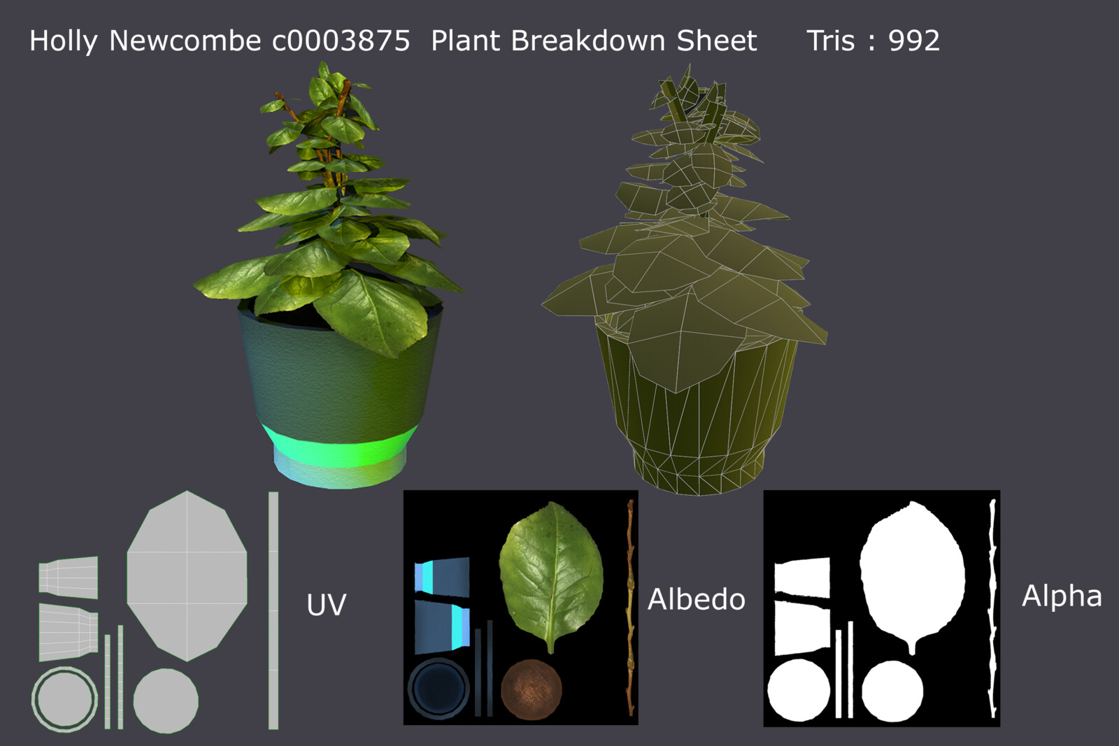 Holly Newcombe - Plant Alpha Map