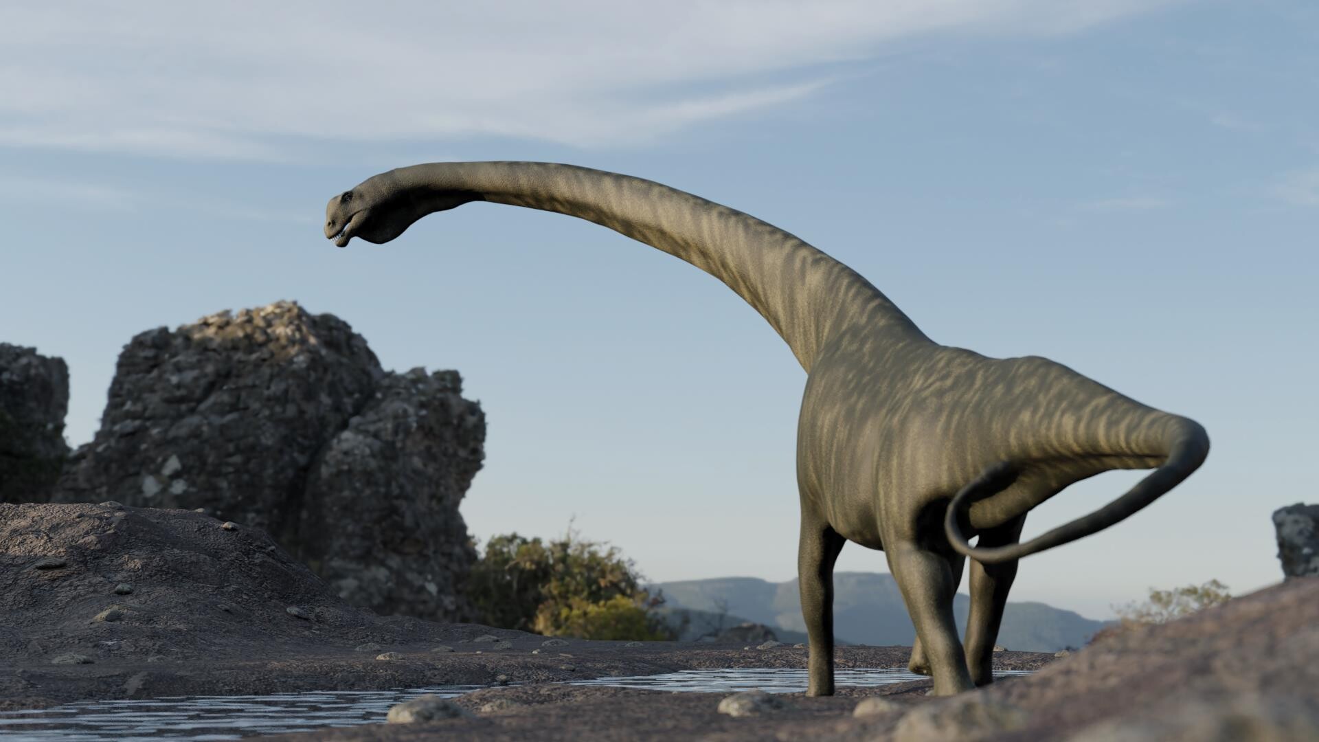 mamenchisaurus youngi