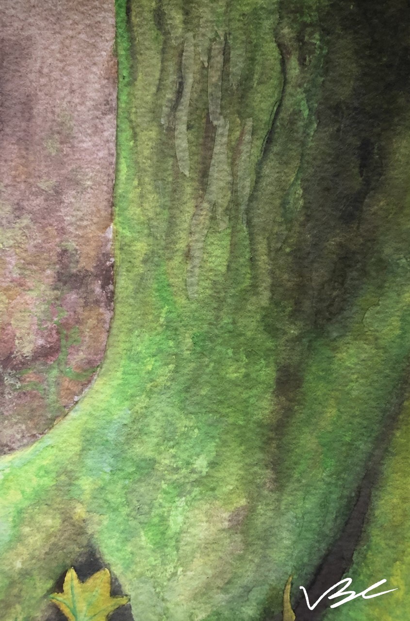 ArtStation - Watercolour painting - Mossy tree