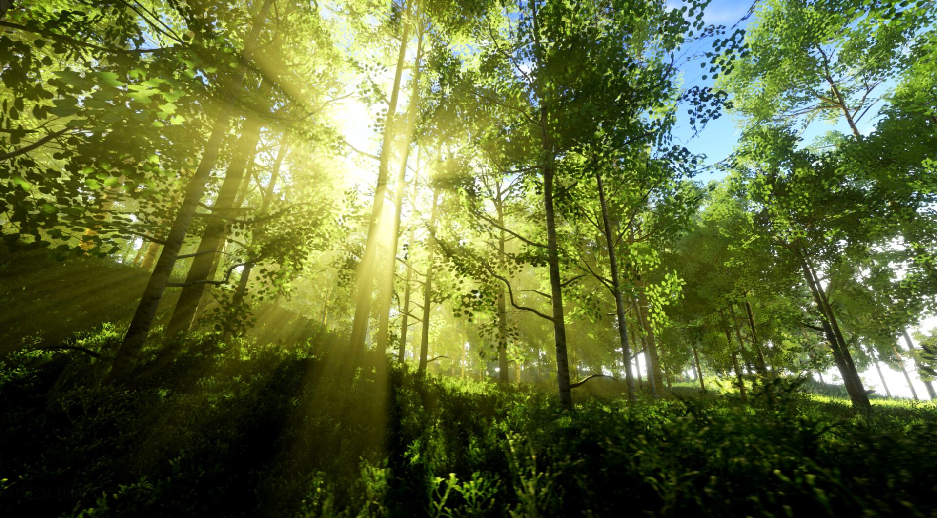 ArtStation - Soul Nature