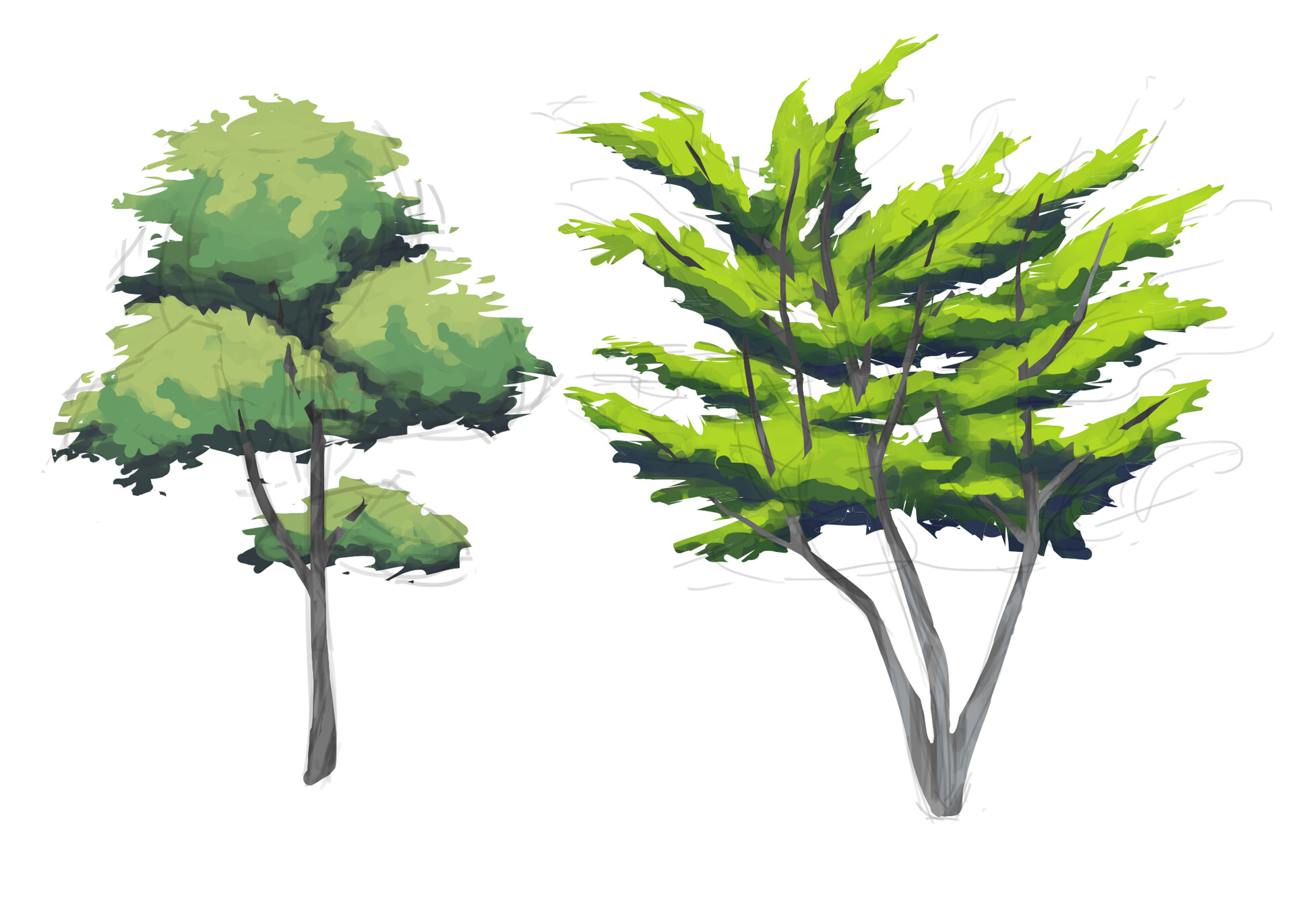 ArtStation - Tree studies