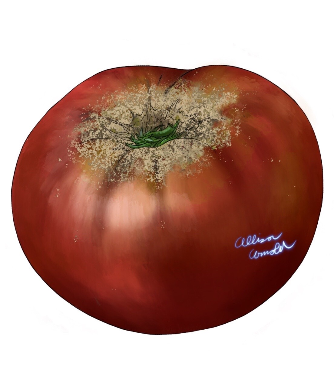 ArtStation - Skyrim tomato done in Procreate