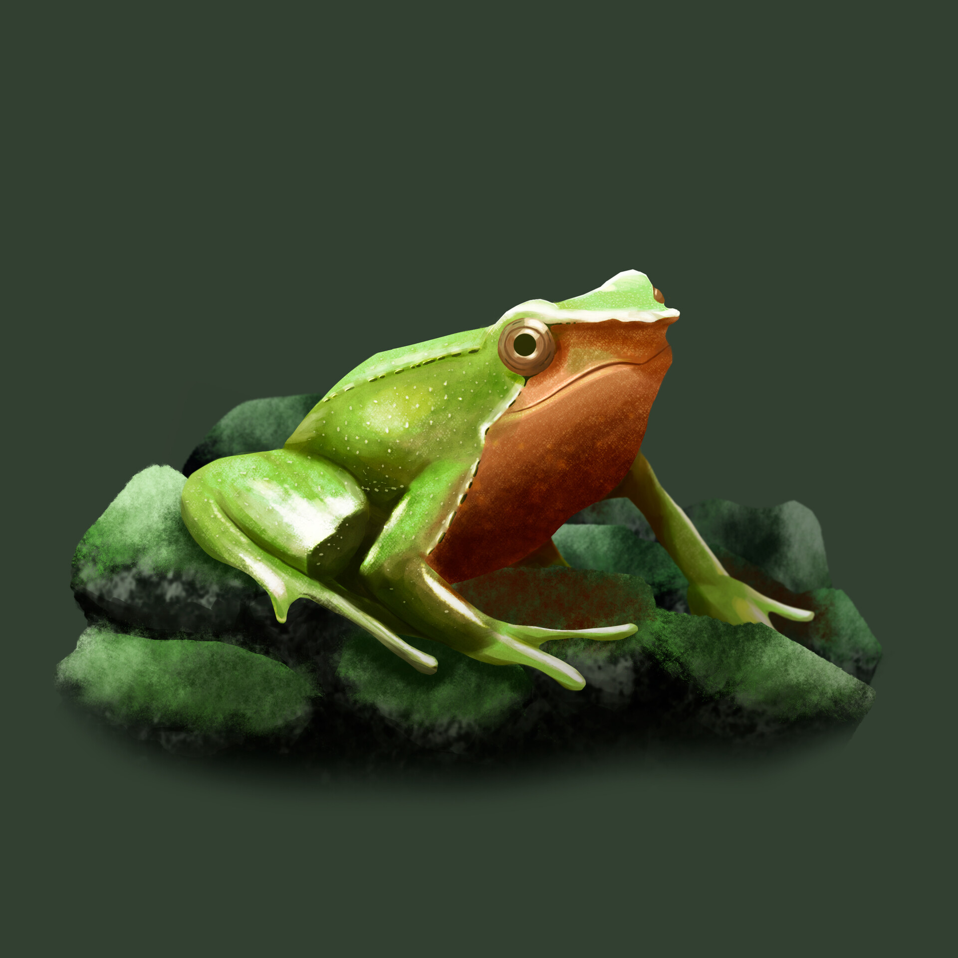 ArtStation - Darwin's Frog