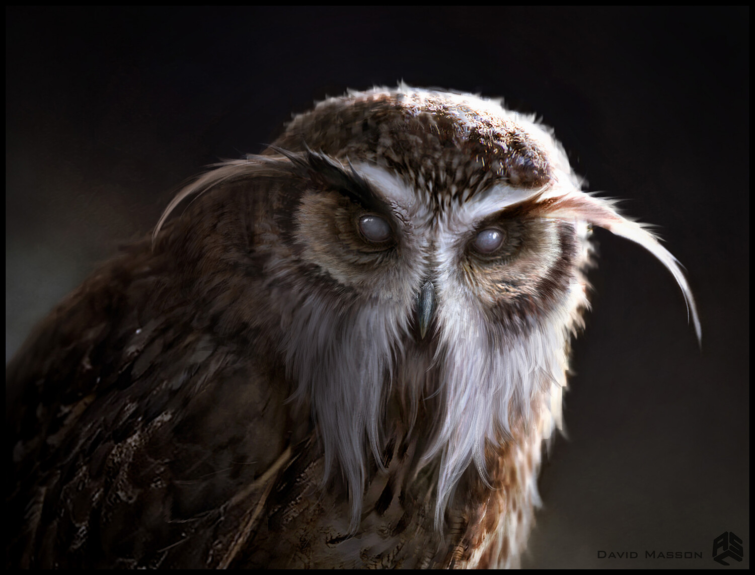 DAVID MASSON SAN GABRIEL - MouseGuard Owl