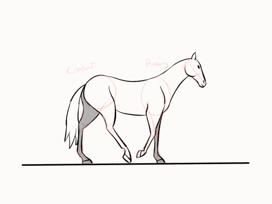 horse walk cycle keyframes