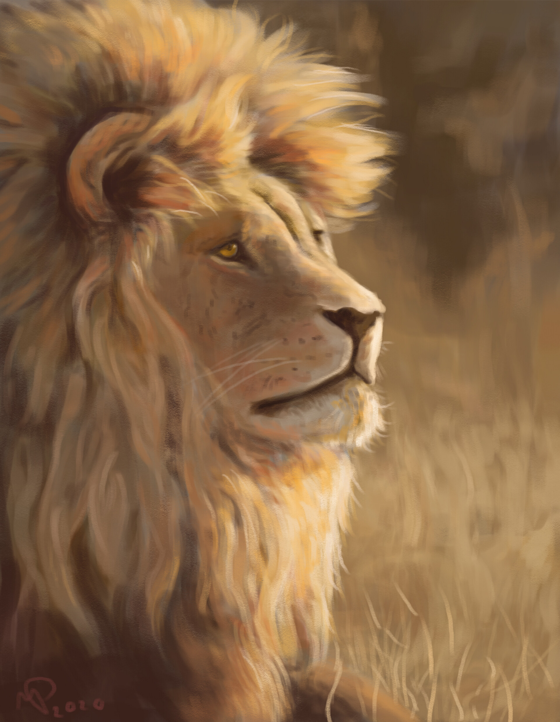 ArtStation - Lion study