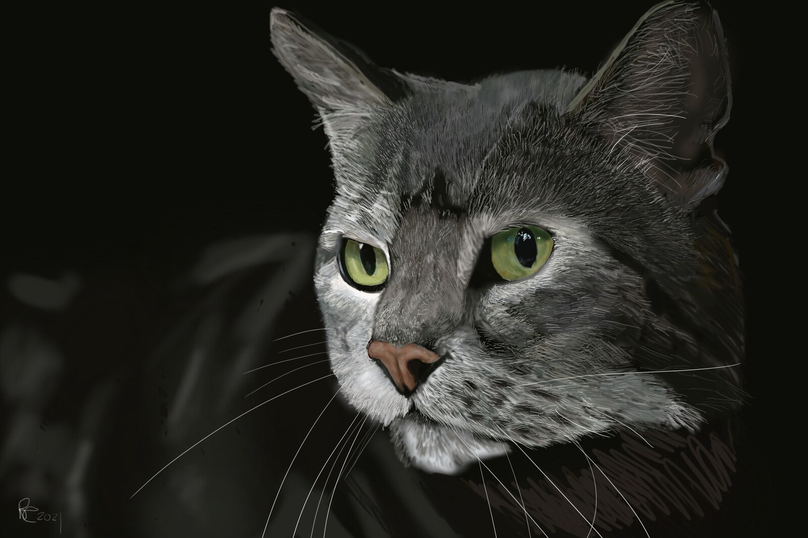 Richard Cave - Portfolio