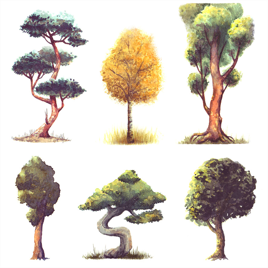 ArtStation - Tree studies