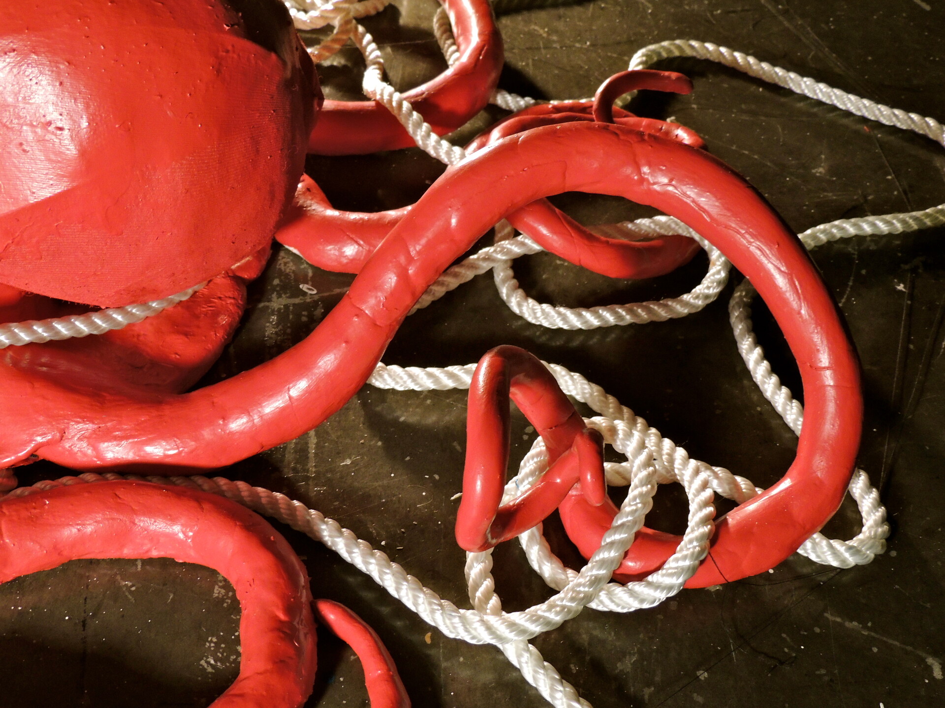 Erin Crawford - Crawl