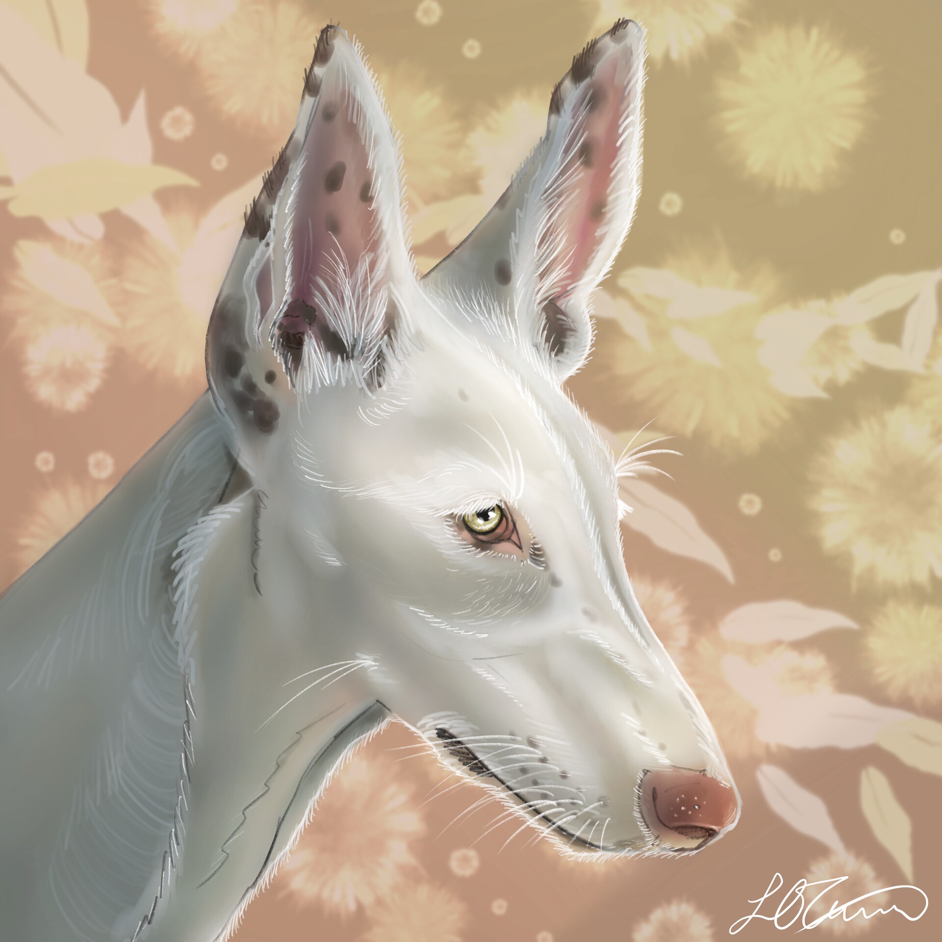 Lydia O'Connor - Long nose boy