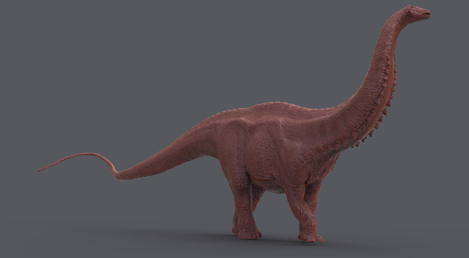 ArtStation - Apatosaurus louisae