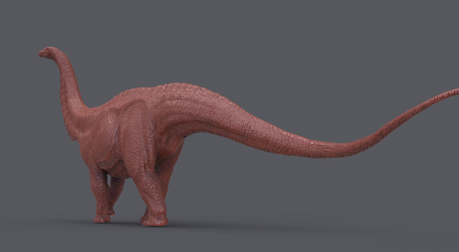 Emi Nakasuka - Apatosaurus louisae